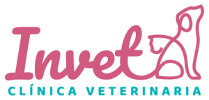 Inicio Clínica Veterinaria - Invet